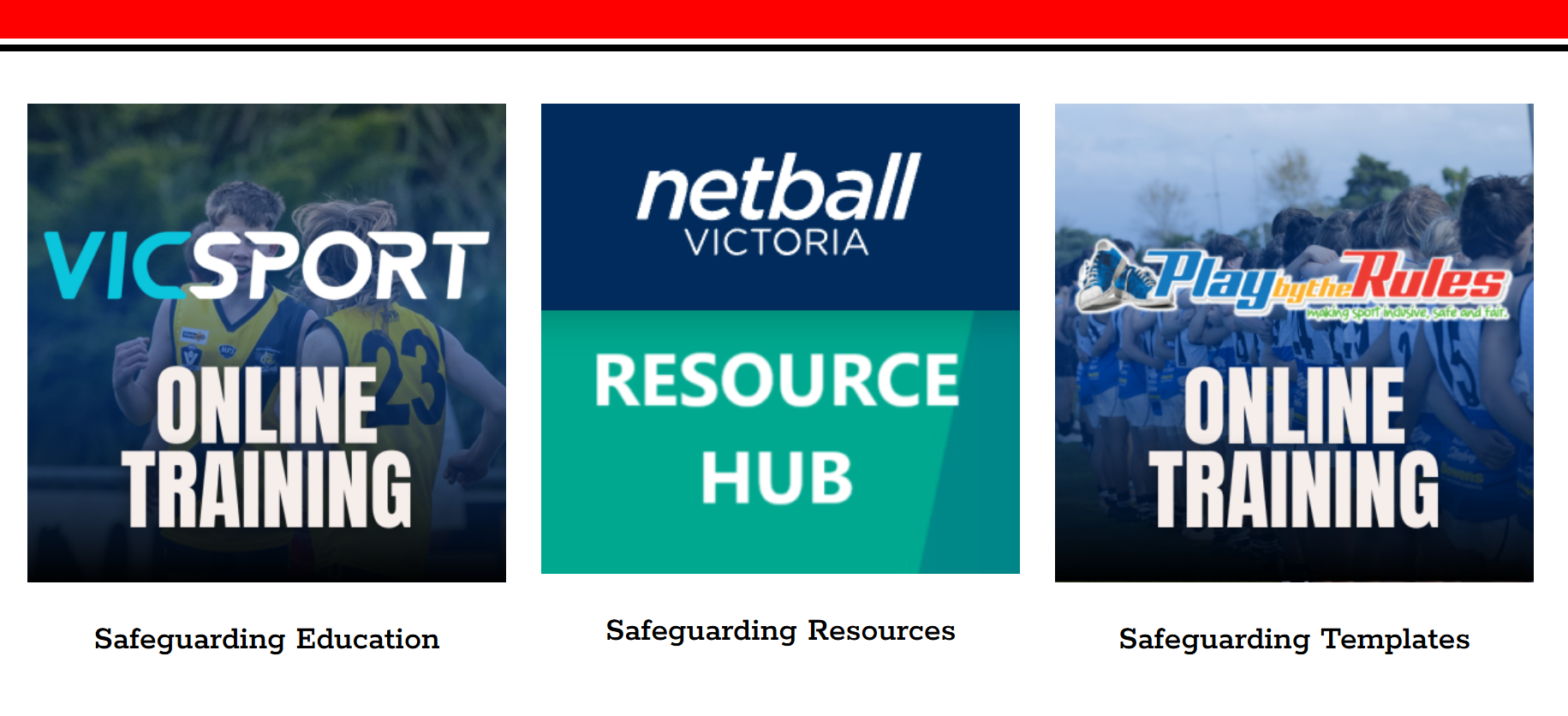 Netball Child Safety Hub - Frankston Dolphins